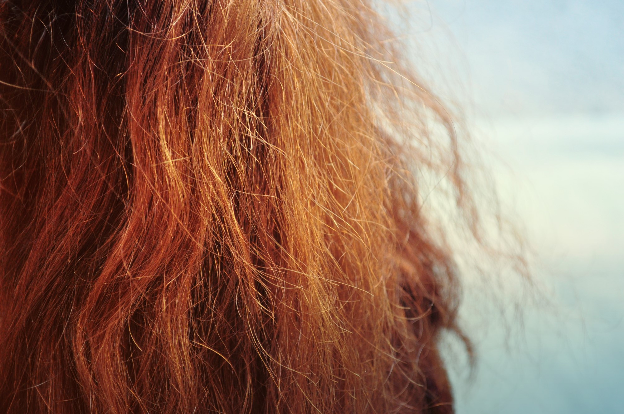 Guide to tackling tangled hair | How to detangle your hair